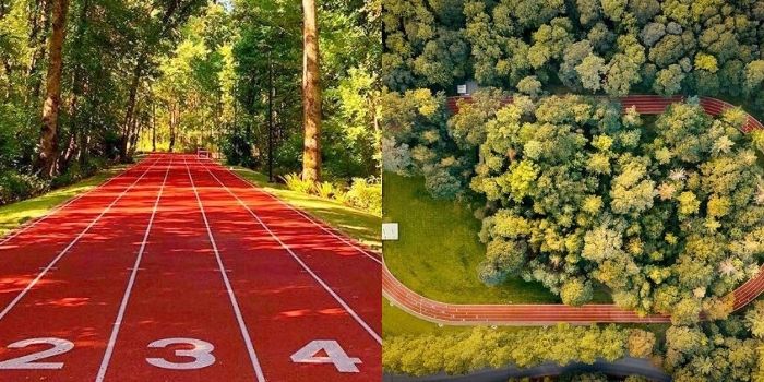 The little-Known Race Track Between a Forest